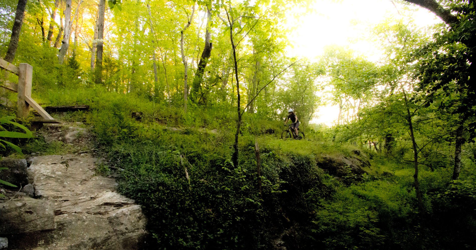 Lac Atalante | Sentiers OZ Nord-Ouest de l'Arkansas