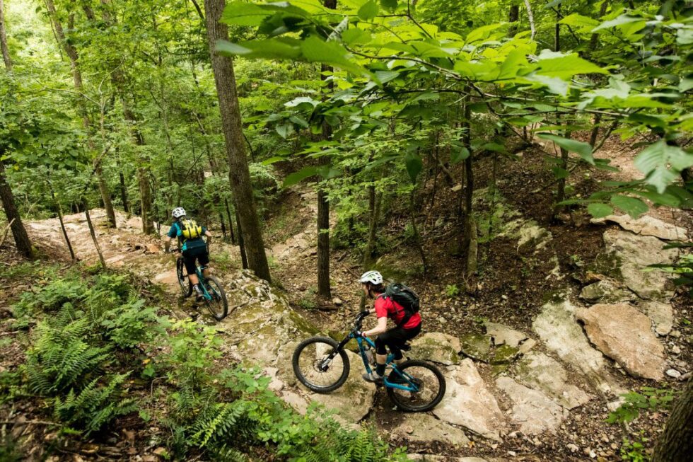 Coler MTB Preserve - OZ Trails Northwest Arkansas